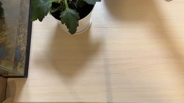 СП ДОБИВАЮ НЕДОВЯЗЫ-5/ 2026 / отчёт N 7