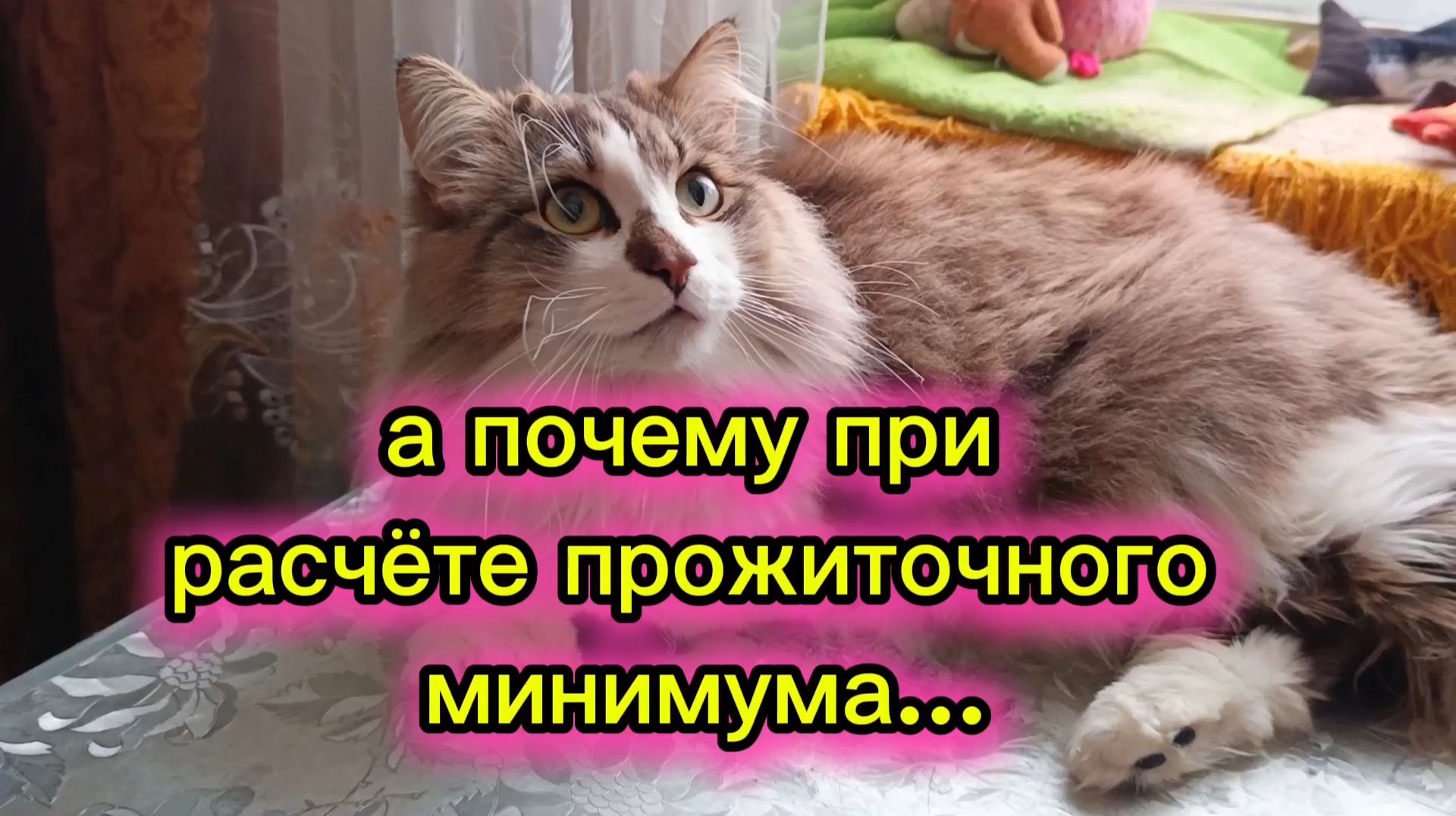 КОШКИ С ОЗВУЧКОЙ.