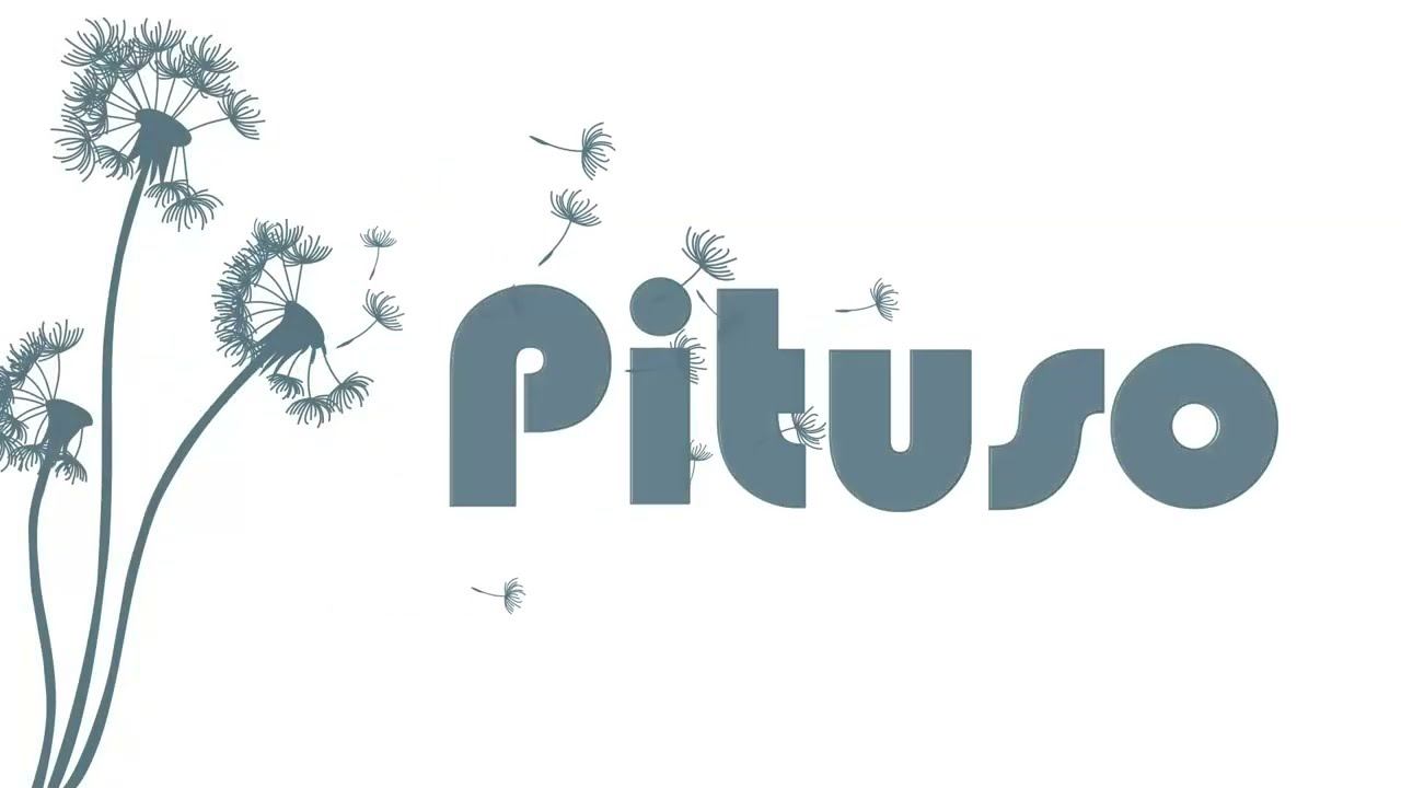 Прогулочная коляска Pituso Camino