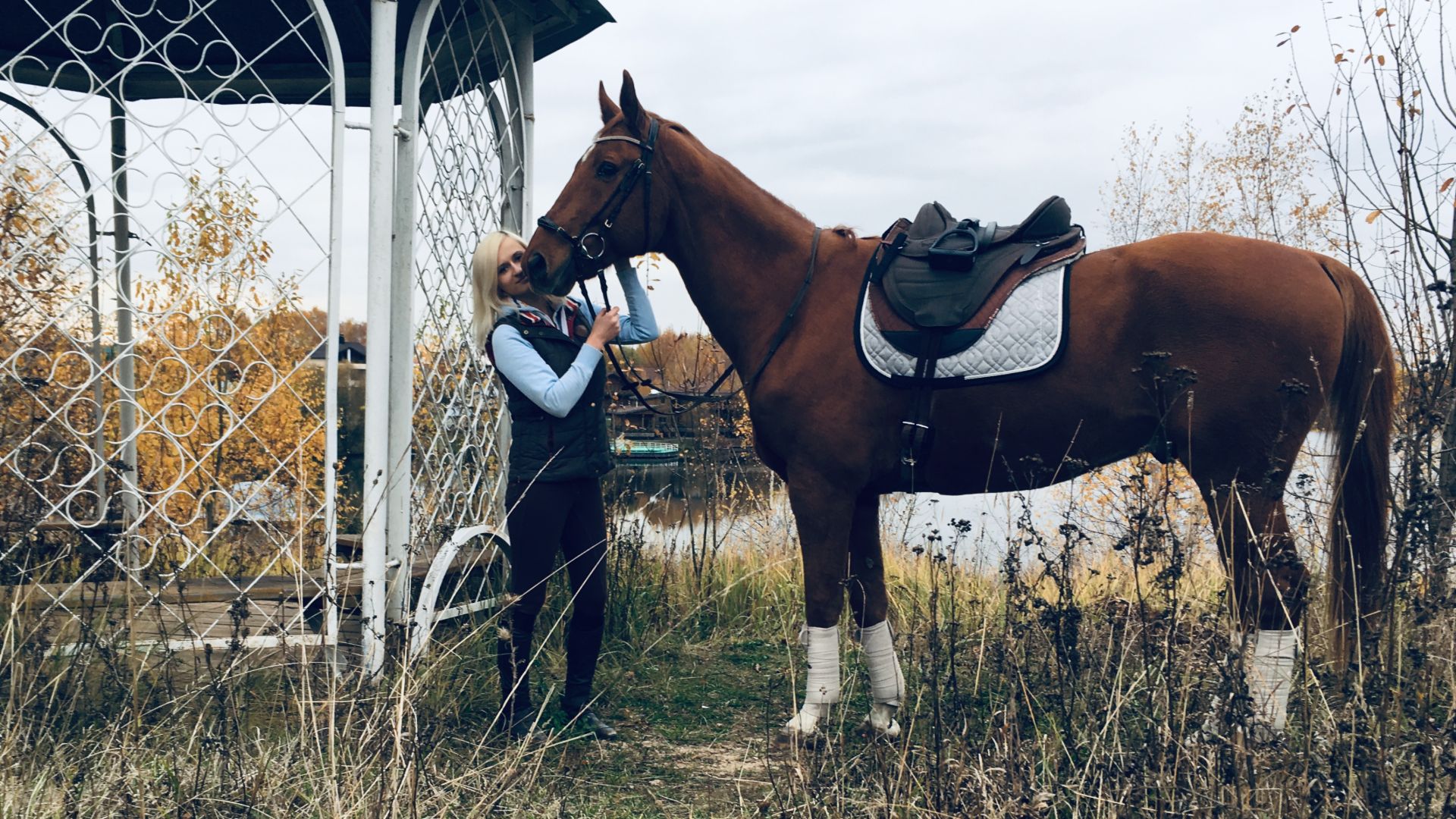 Магнит. Сентябрь 2017