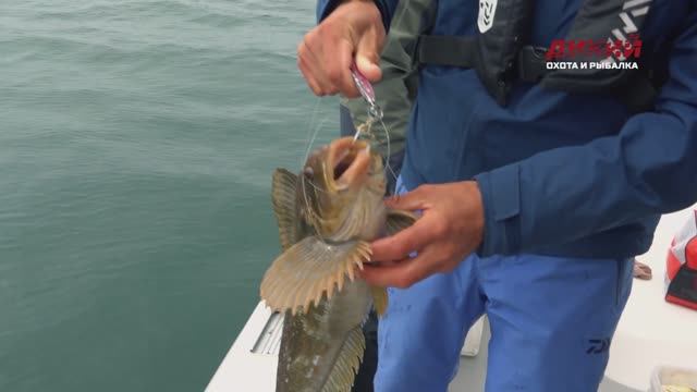 Камчатка. Большая рыбалка. Часть 1