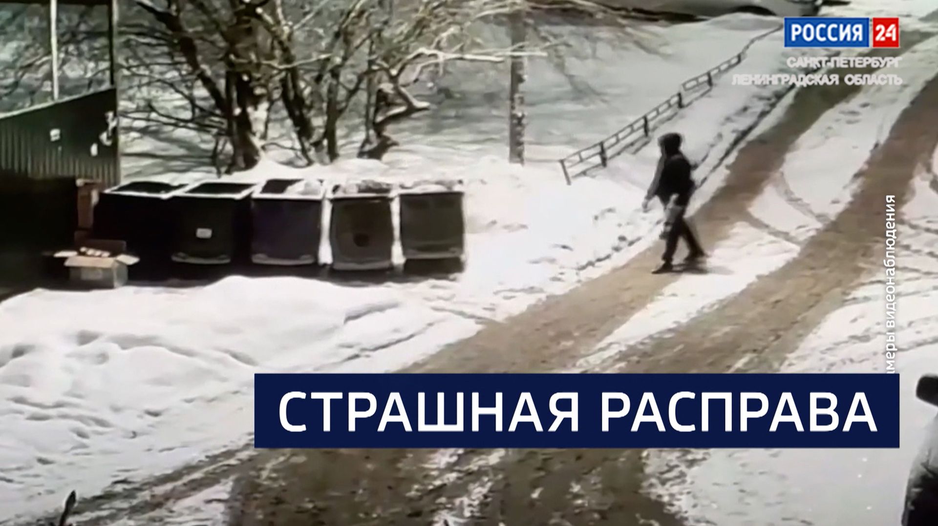 ВЕСТИ 24 Санкт-Петербург от 12.02.2026