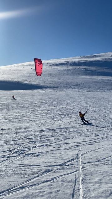 Белоснежная тундра это про свободу
