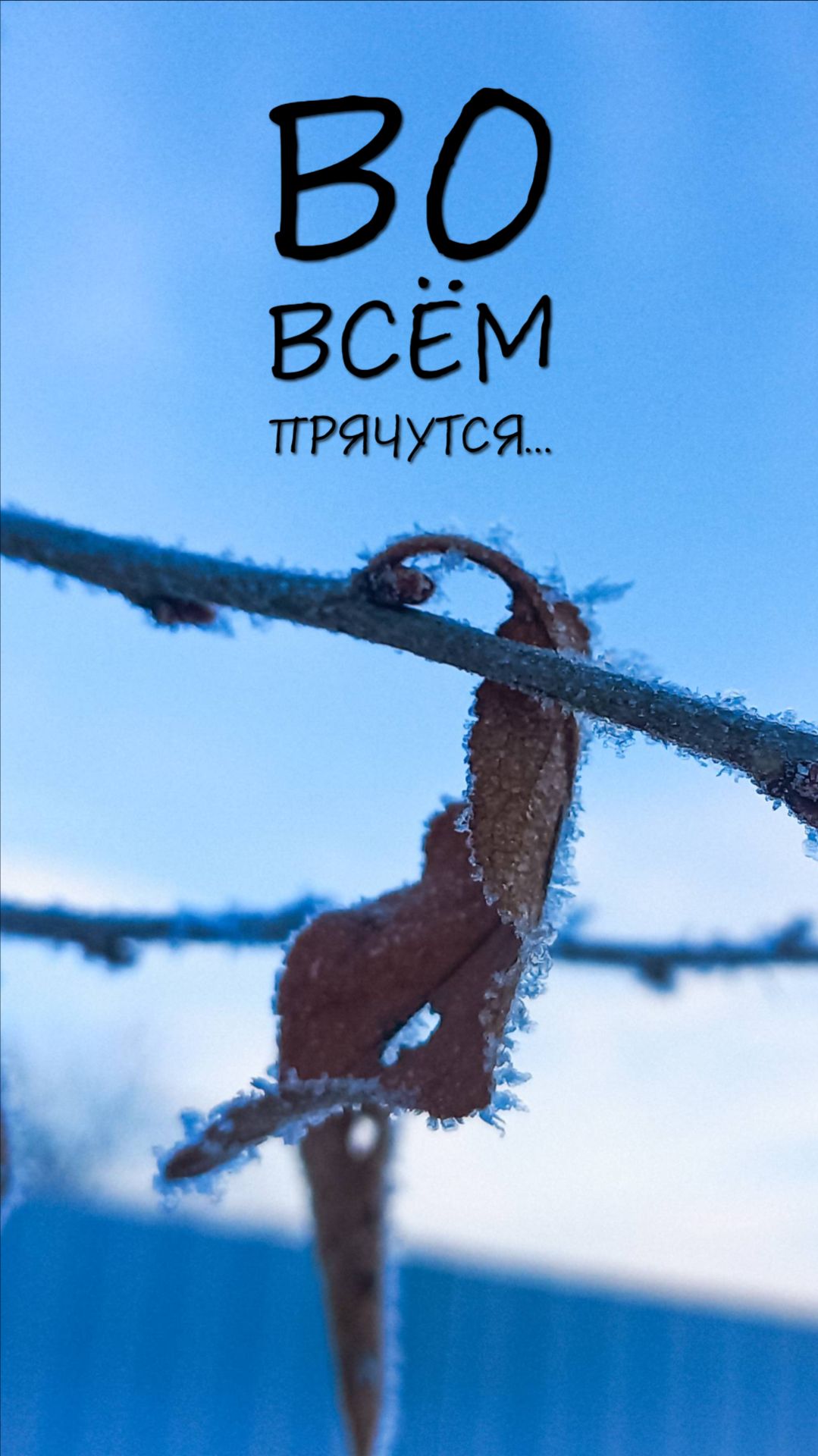 Во всём прячутся... #shorts