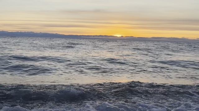 Зарубина, Ковалева, Кожаев, Резанов