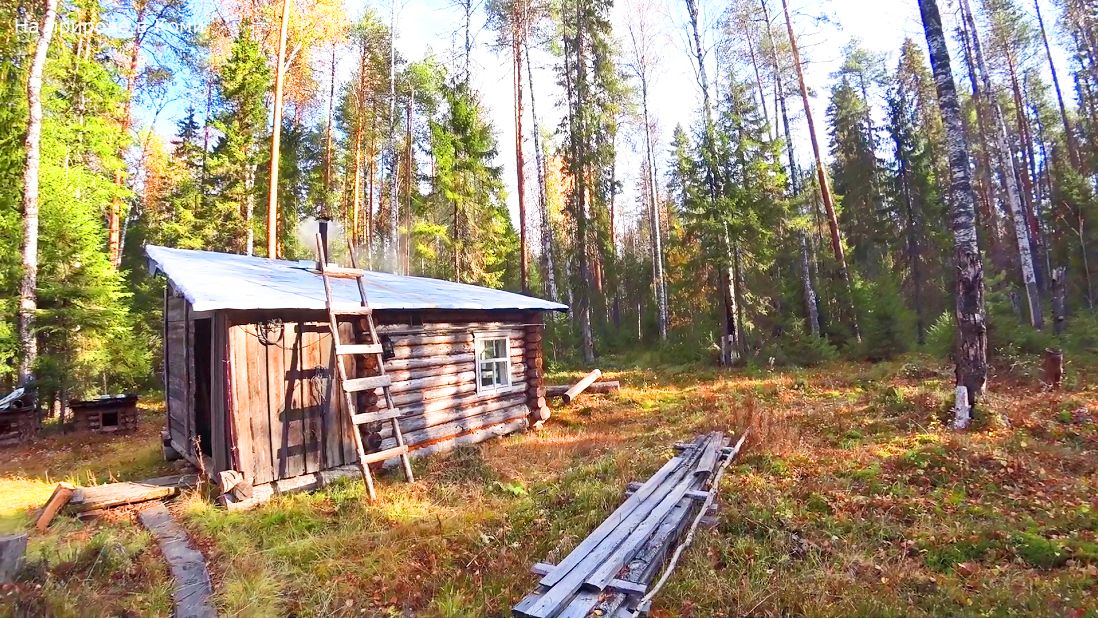 Первый выход в лес и добыча. Полевая кухня. Кадры летние с фотоловушки. 3 серия