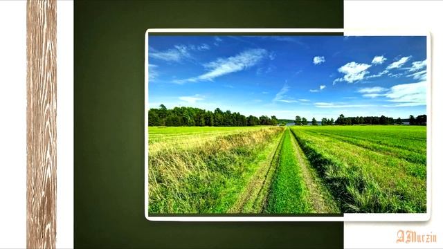 Vasim - A Little Lyric