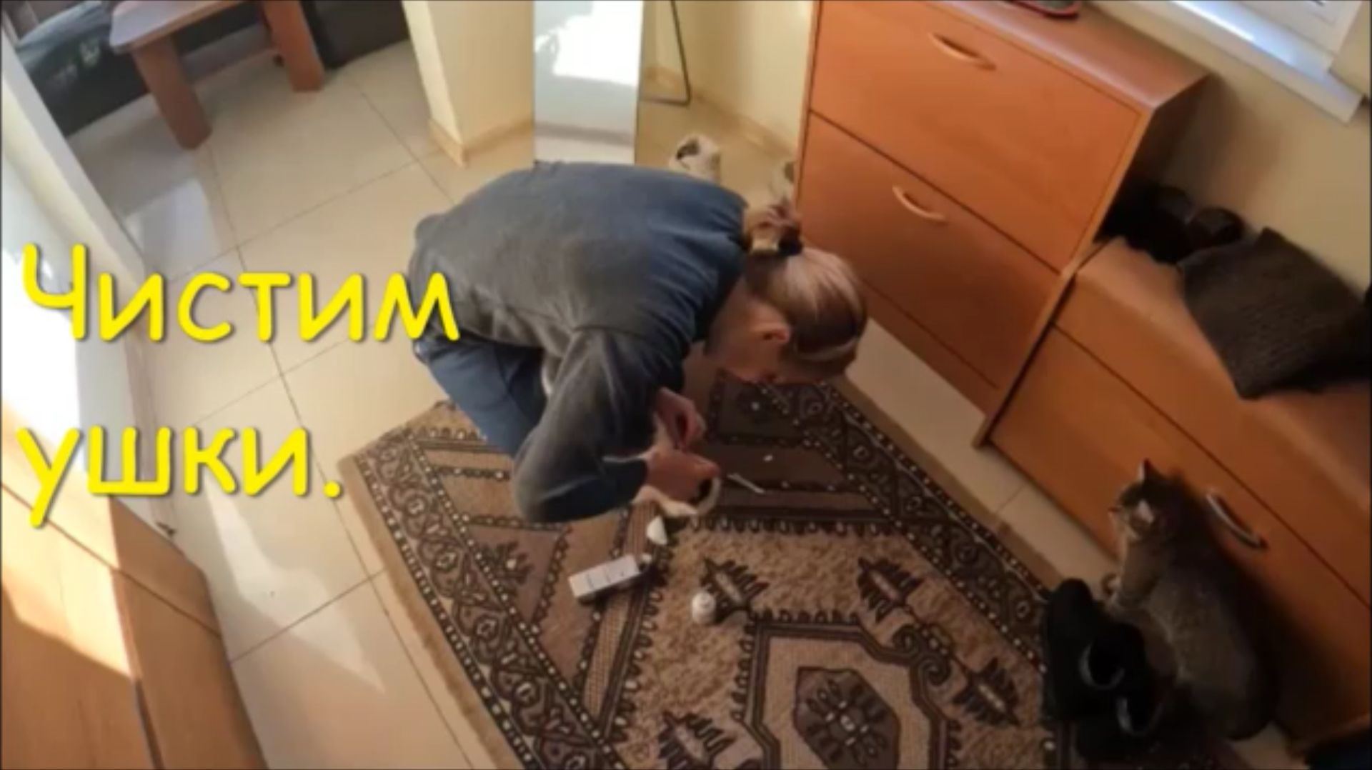 Разные фрагменты из нашей жизни.