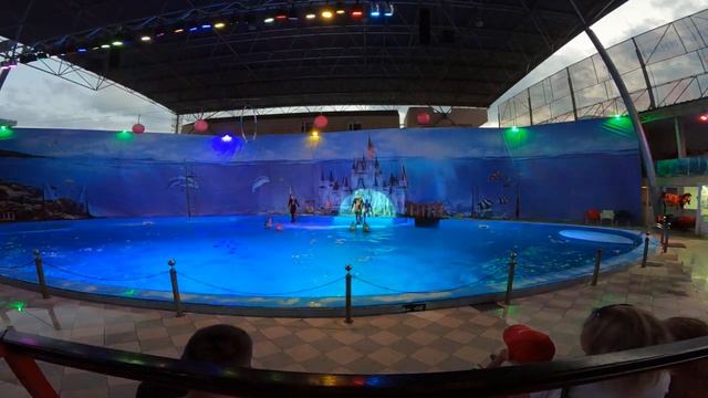 Дельфинарий Лазоревское часть 1