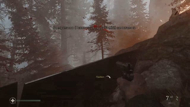 Call of Duty WW II #7