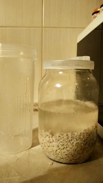 Овсяное молоко просто