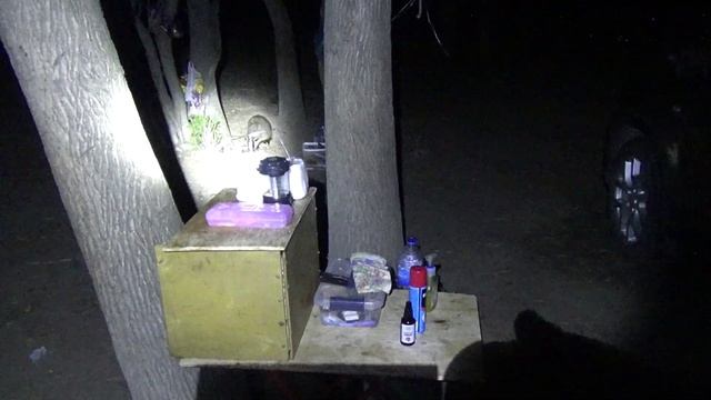 Барсук астраханский