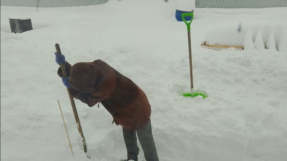 Эй ухнем по снегу