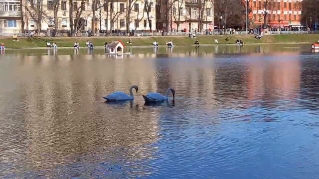 Патриаршие пруды