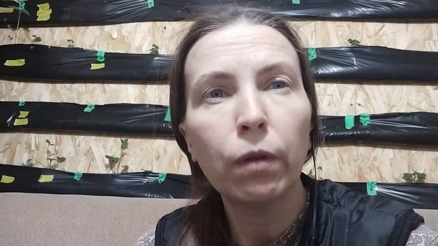 Каждый должен стать пророком