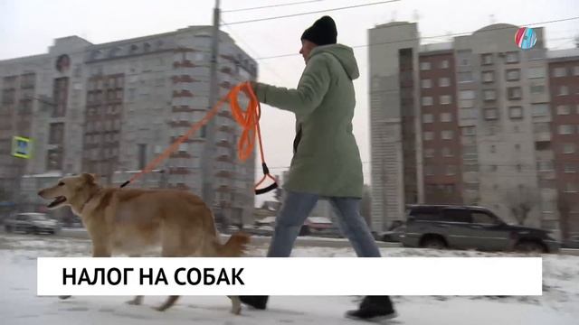 Налог на собак
