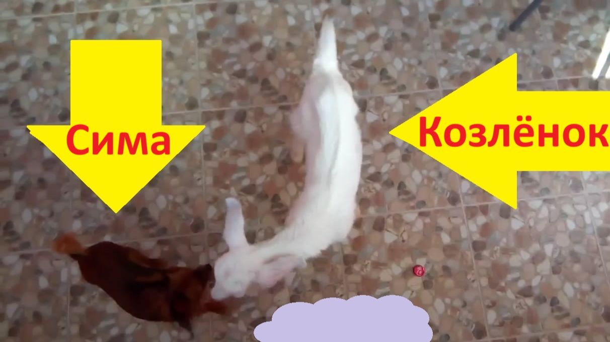 Здесь хозяйка Я!