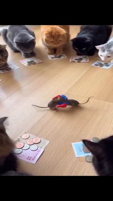 В крысу бьет