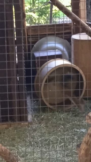 Акробатические трюки