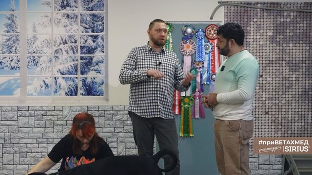 Кинезиотерапия для собак // #приВЕТАХМЕД