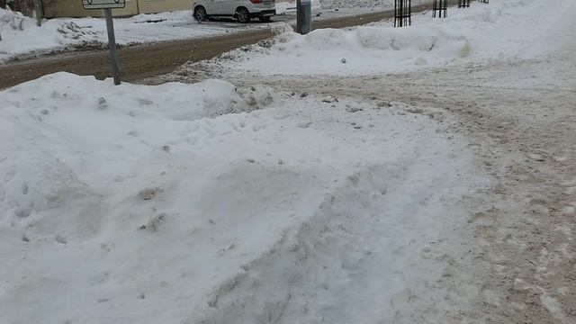 №1273 ул. Полины Осипенко. 6 января 2026 г., 13:47:25 VID_20260106_134700834