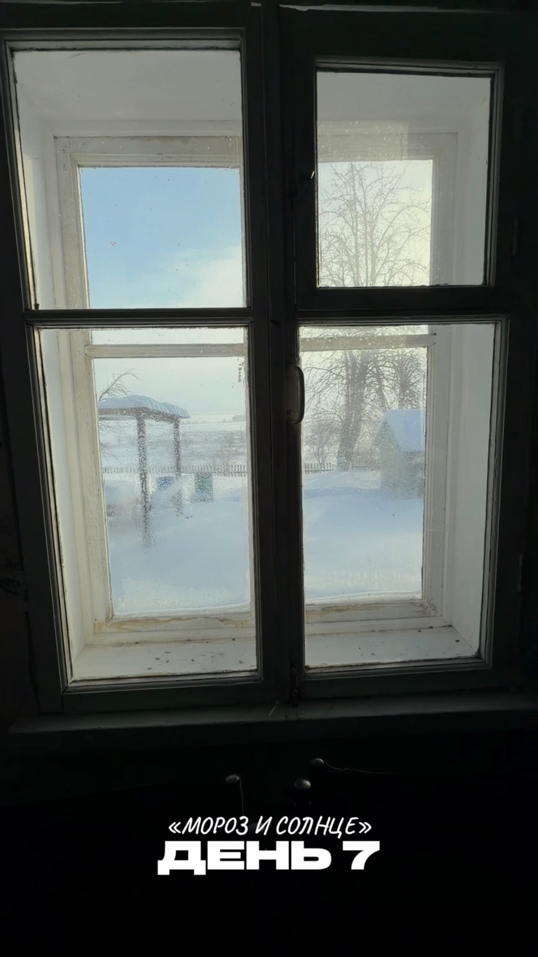 продолжаем работать над новым сезоном «Жуки. Зима»