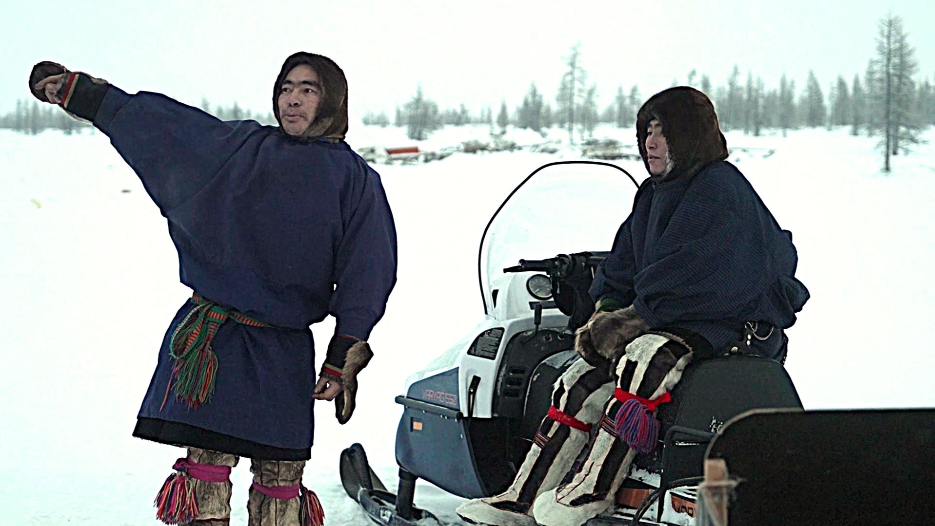 Большая область | 14.02.2026