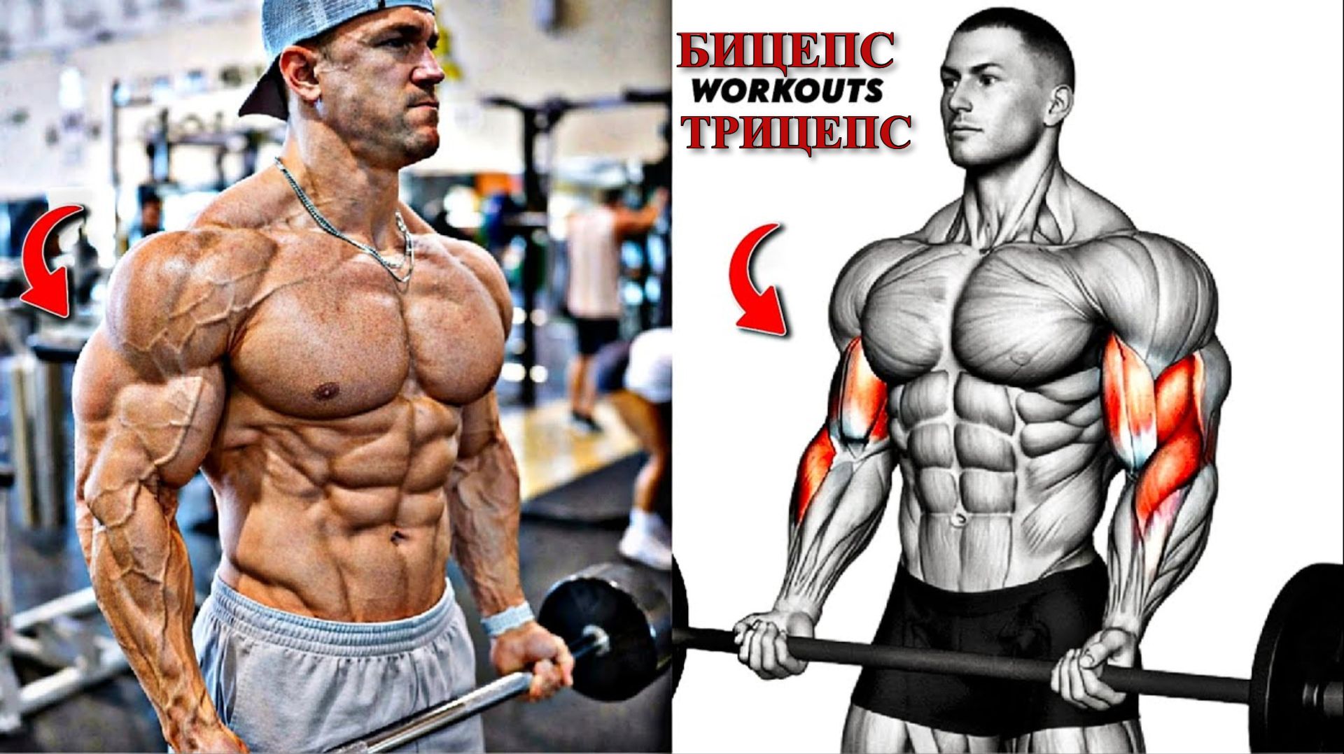 8 Обязательных Упражнений На Бицепсы И Трицепсы Для Максимального Роста Рук 💪