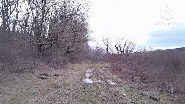 Сукко,кипарисовое озеро,река сукко,Анапа,черное море