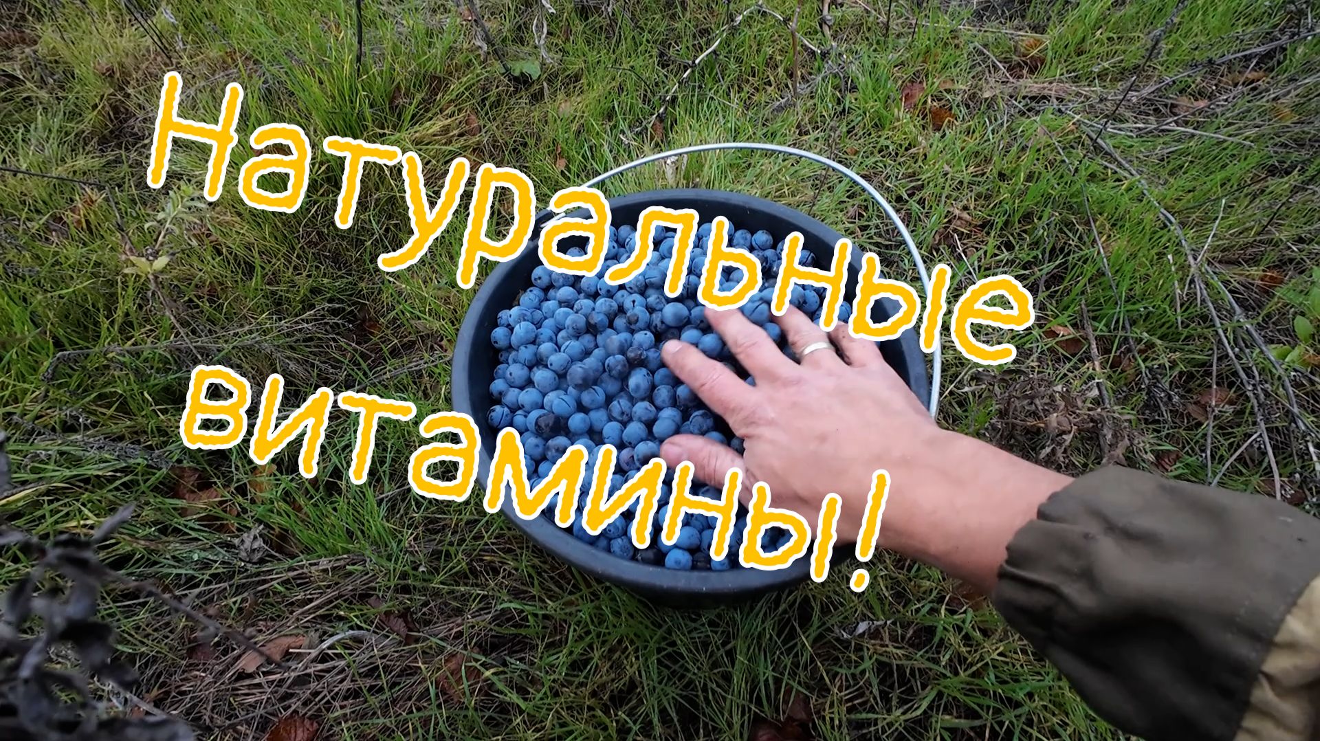 Искал монеты, а нашёл...