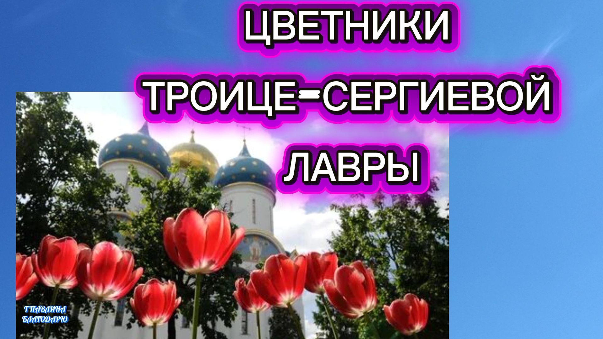 Сергиев Посад. Троице-Сергиева Лавра. Цветы и клумбы.