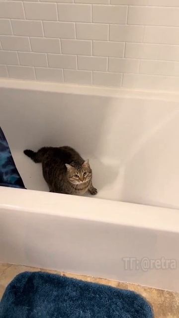 желания не совпали с возможностями😄😄😄