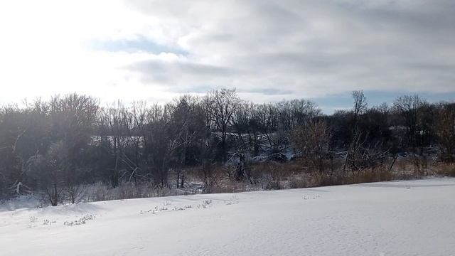 🌸 Зимний день