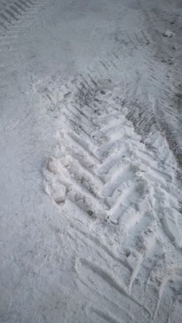 №1299 Двор П. Осипенко 48. 12 января 2026 г., 16:17:14 VID_20260112_161655693