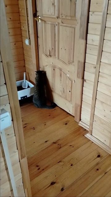 Я так хочу гулять!