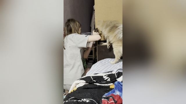 Щенячьи будни УЗИ и роды Шанель