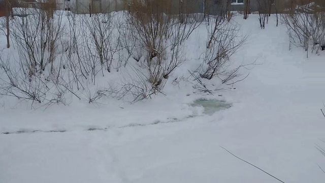 ✅️Опять про снег! Бог уберег!