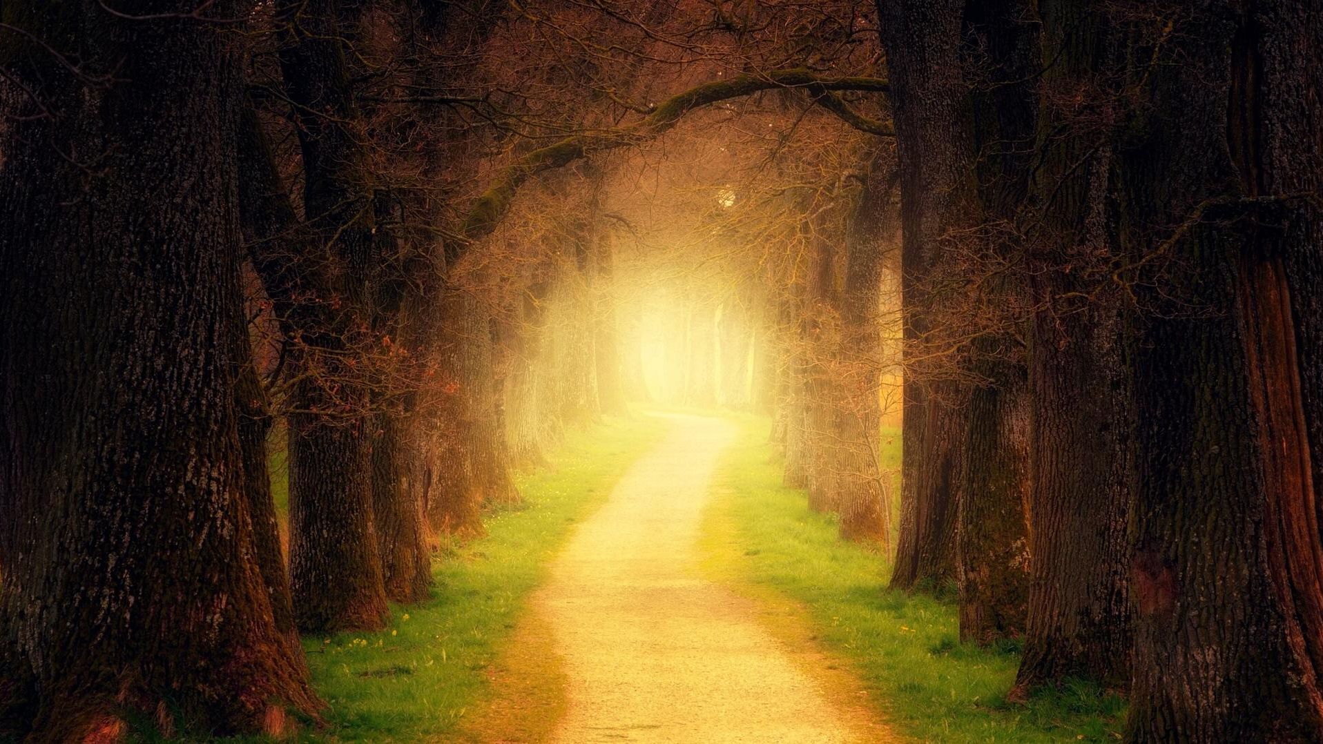 cemetary-last-departure-serpentine-para