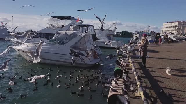 Сочи в феврале