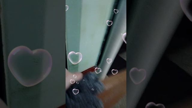 Влог Как мы отметили день влюбленных