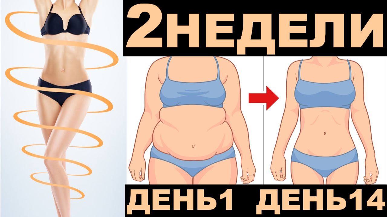 Сделайте талию за 2 недели!