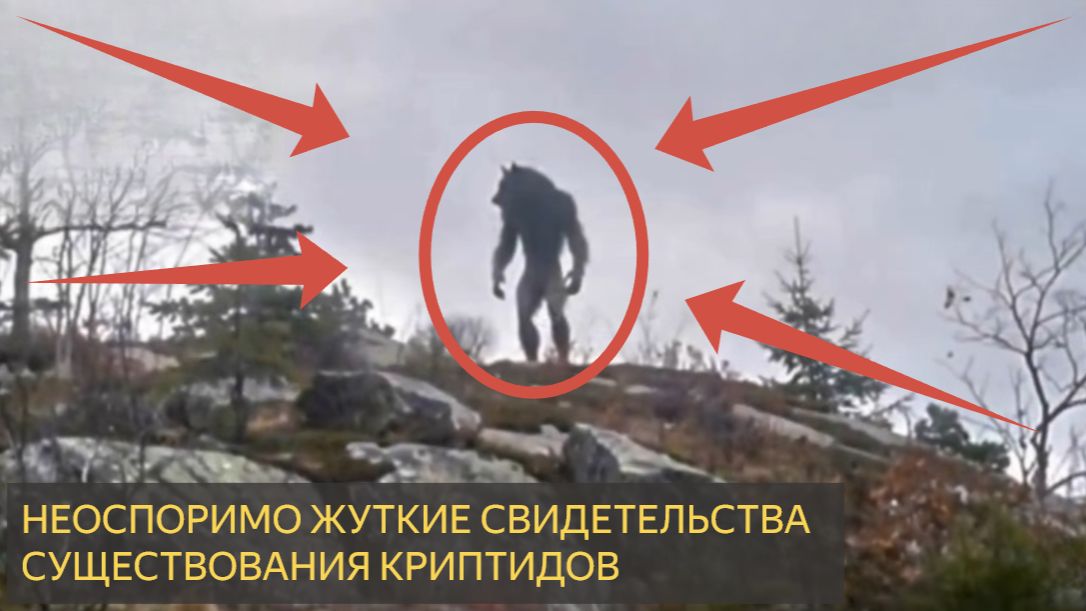 Неоспоримо ЖУТКИЕ свидетельства существования КРИПТИДОВ, заснятые на камеру в 2026 году