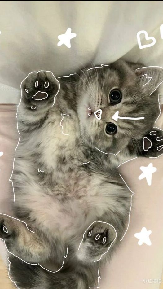 Миленькая музыка (Скрипка)