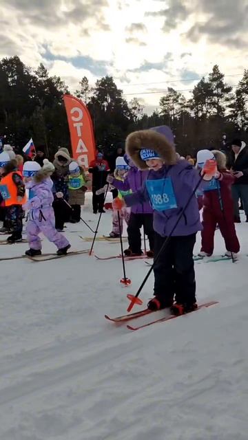 в Курганской области проходит под знаком лыжных гонок