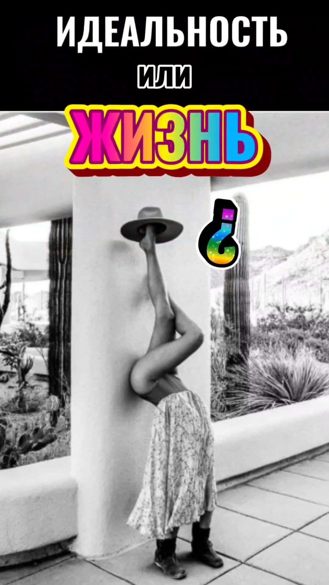 ИДЕАЛЬНОСТЬ или ЖИЗНЬ?