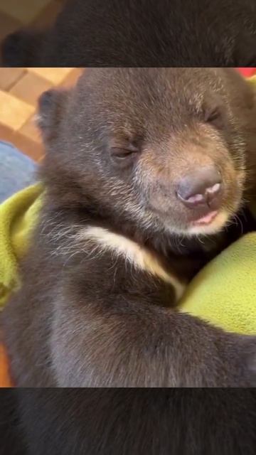 Отправляемся отдыхать, друзья