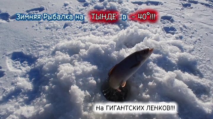Клёвая Зимняя Рыбалка на ТЫНДЕ в -40°!!! Огромные Ленки Взбесились и Сломали Удочку! Вторая серия!!