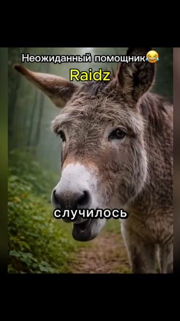 Raids Осел помоги Мутному Ежику #юмор #games #прикол #мем #мемы #shorts #shorts