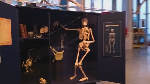 Калининград. Музей Мирового океана. 3 часть, 2 серия.