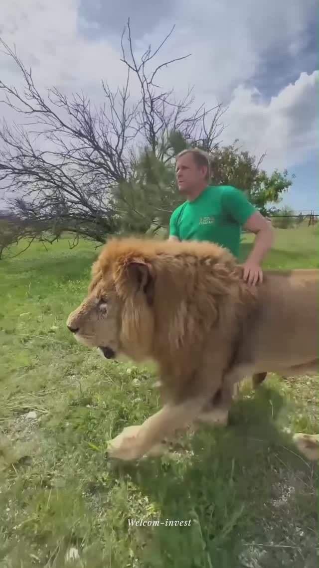 Когда мы гуляем собаки боятся😂